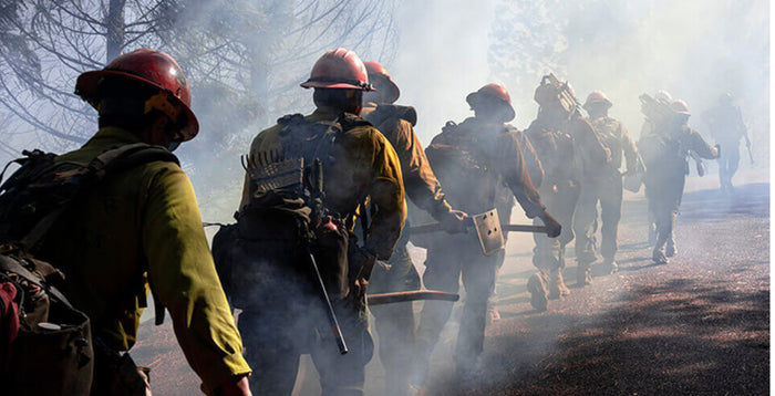 MYSTERY RANCH X WILDLAND PRO