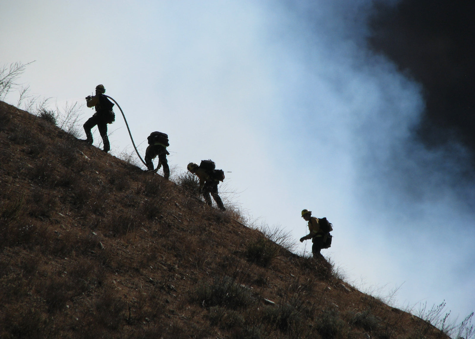 Wildland Pro